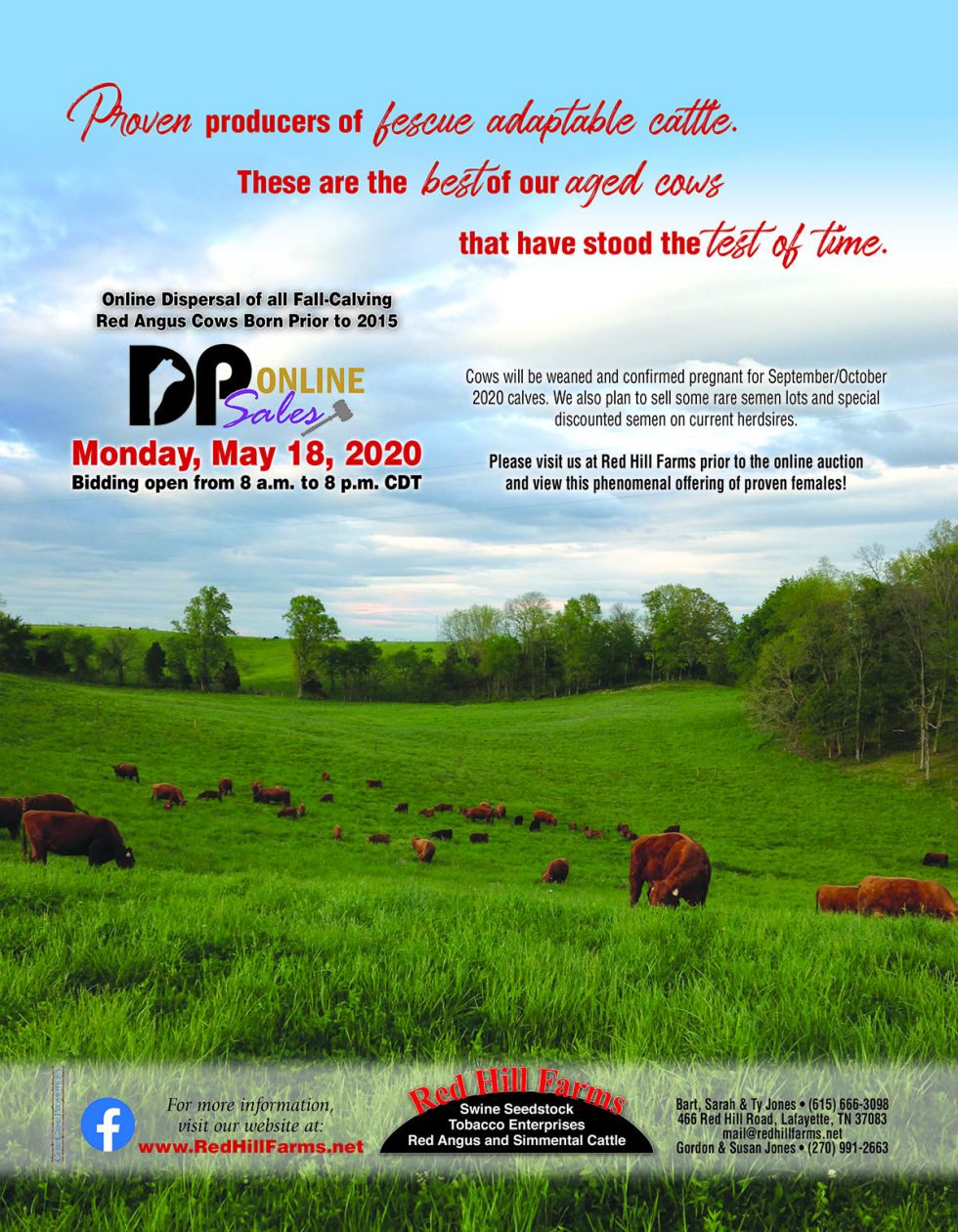 Cattle Sales - Red Hill Farms