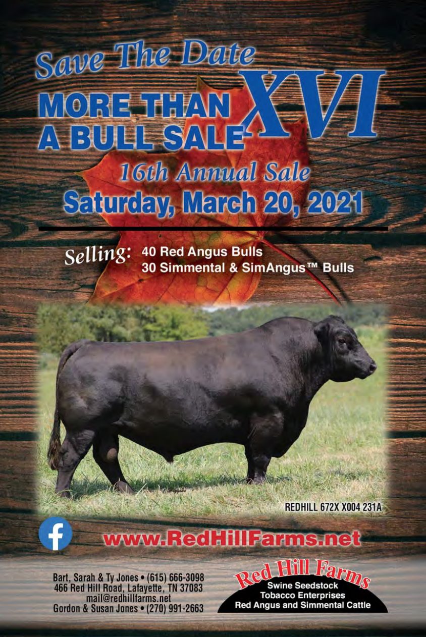 Cattle Sales - Red Hill Farms
